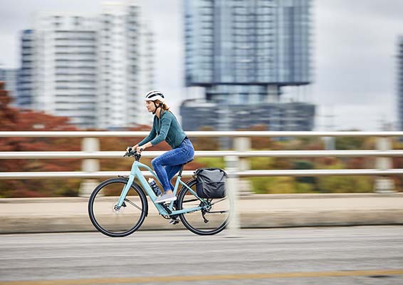 TREK FX+2 - bikeBoard